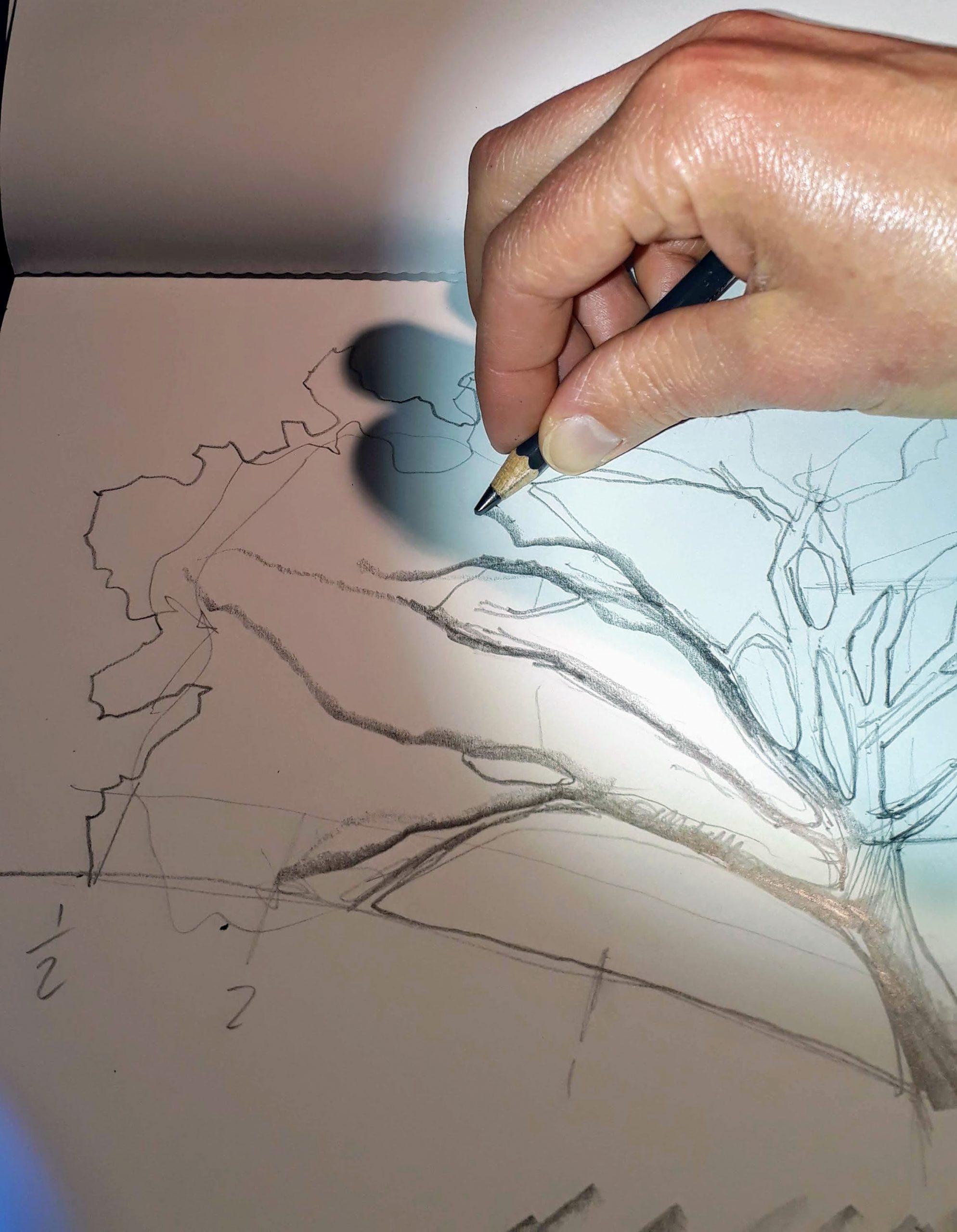 Tips for sketching trees – Janet Mary Robinson